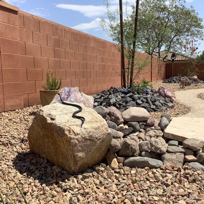 Sneaky Snake Hand Forged Garden Ornament-great for Scaring Birds Away ...