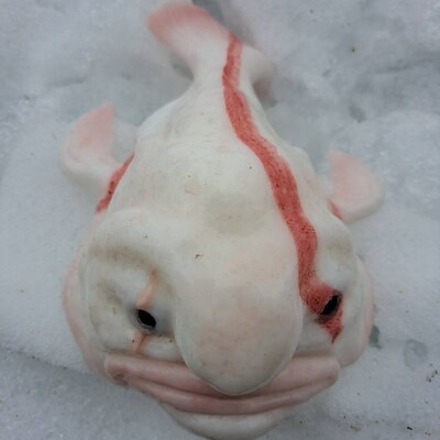 Platinum Silicone Blobfish Prop Cool Desk Item Gift Handmade Realistic ...