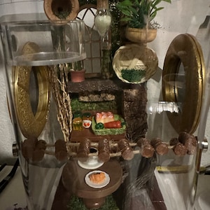 Made-to-order Witch's Cottage Jumping Spider Enclosure,jumping Spider ...
