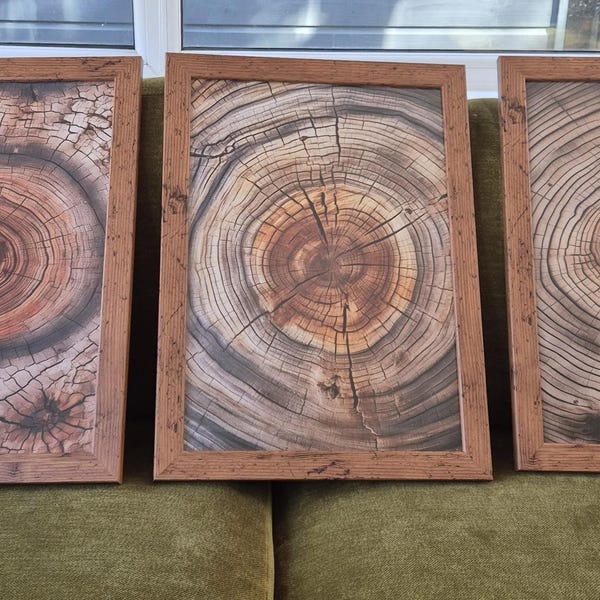 Tree Ring Wall Prints Tree Stump Photograph Wall Decor Nature Art ...