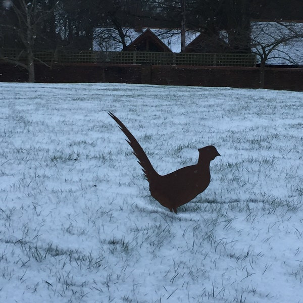 Rusty Metal Pheasant Garden Decor / Rustic Pheasant Garden Sculpture ...