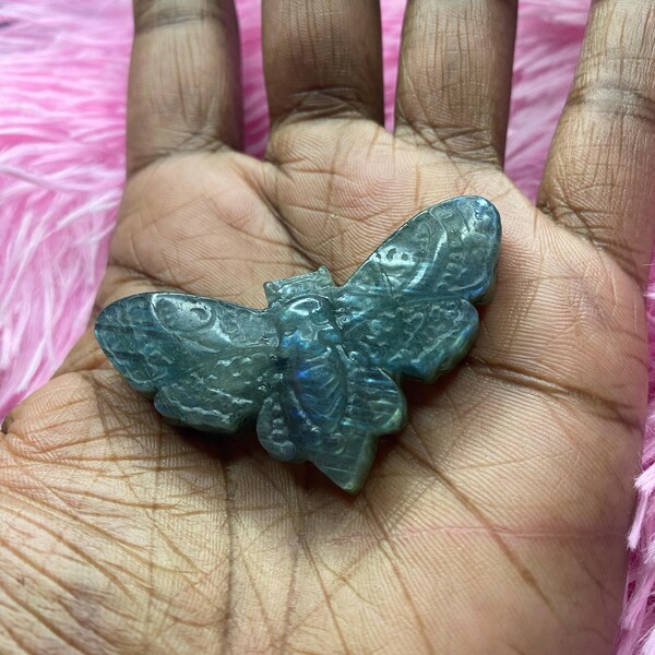 1pc Natural Obsidian Flying Dragon,quartz Crystal Flying Dragon,hand ...