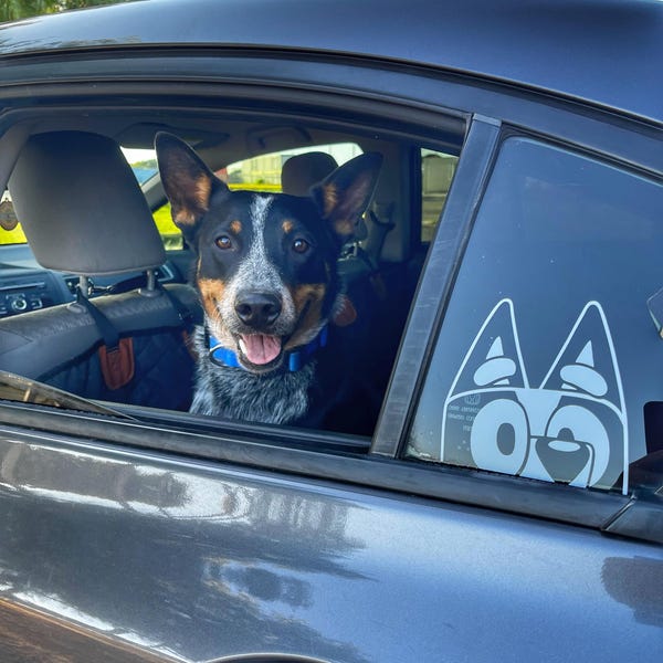 Blue Dog Peeker Decal - Etsy
