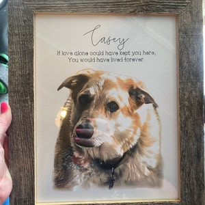 Cotton Push Pin Map, Personalized Travel Map, World Map, Second ...