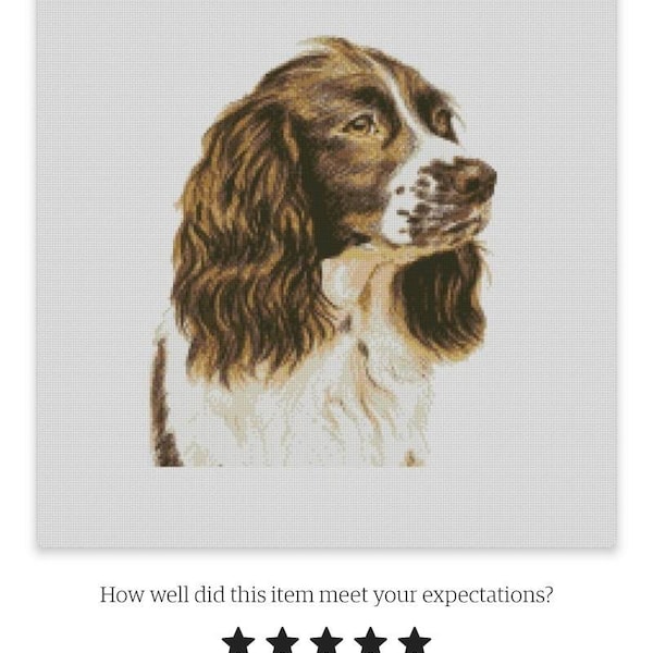 Cavapoo Dog 2 Cross Stitch Chart Instant Download PDF Pattern Keeper ...