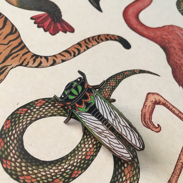Cicada Hard Enamel Pin | Cicada Variations | Lapel Pin | Cicada ...