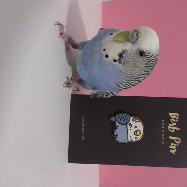 Pudgy Budgie Enamel Pin - Etsy
