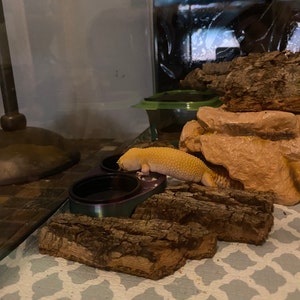 Leopard Gecko Moist Hide / Lay Box - Etsy