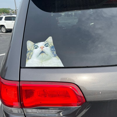 Scaredy Cat Sticker, Cat Sticker, Cat, Kitty, Cat Gift, Kitty Gift ...