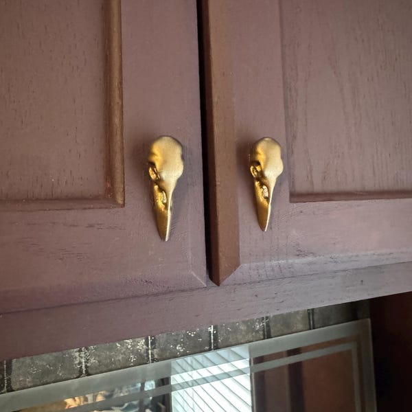 Raven Skull Cabinet Wardrobe Door Knobs, Modern Drawer Knob Handles ...