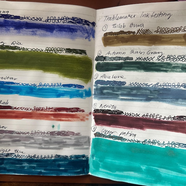 Troublemaker Freedom Park Rose Standard Fountain Pen Ink 60ml - Etsy