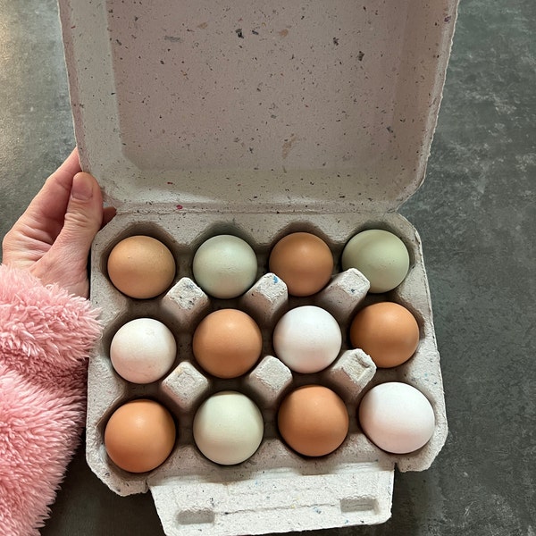 100 Vintage Chicken Egg Cartons - Etsy