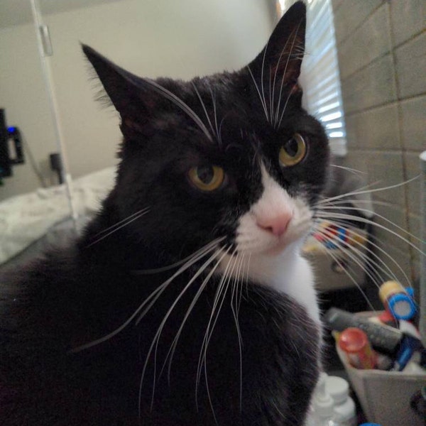 PS2 Mars Pro GM-806HD Modchip - Etsy