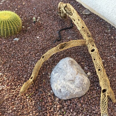 Sneaky Snake Hand Forged Garden Ornament-great for Scaring Birds Away ...