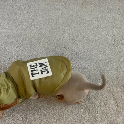 RIP Feelings Patch / Funny Gravestone Patch / Meme Retro Funny - Etsy