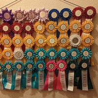 Dog Show Ribbon Holder Display Dog Show Award Rack Dog Show Ribbon ...