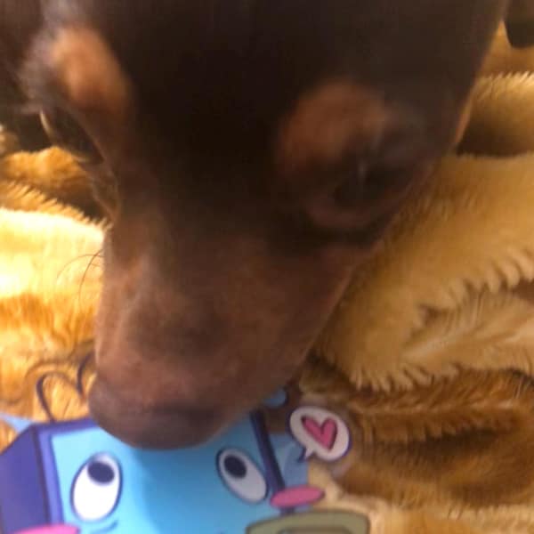 Battle for Dream Island Digital Print Bfb Fan Art Valentines Day Card ...