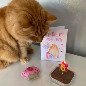 Personalised Cat Birthday Gift Box Gotcha Day Presents Pet - Etsy