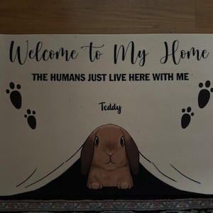 Welcome to the Rabbit House Doormat Bunny Welcome Doormat - Etsy