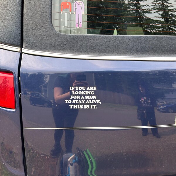 Quiet Emoji Decal | Shh Emoji | Sleeper Build Decal | Smiley Car ...