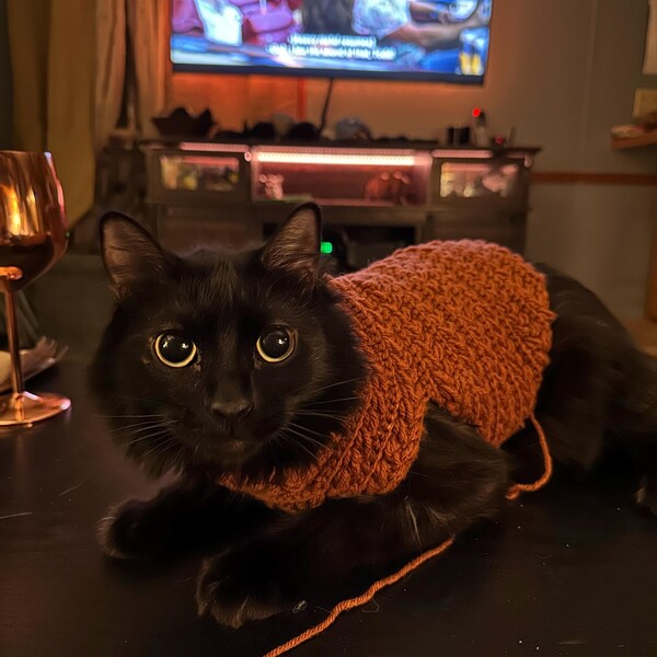 CROCHET PATTERN + VIDEO Top Down Dog Sweater Crochet Pattern – Wheat ...