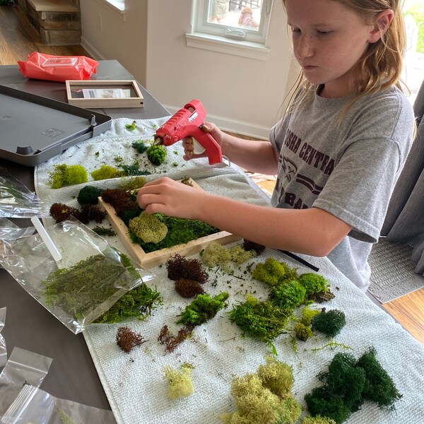 DIY Moss Art Kit, Holiday Gift, Unique Gift Box, DIY Moss Art, Unique ...