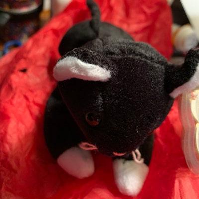 Siamese Catnip Toy, Tuxedo Cat Catnip Toy, Panther Catnip, Butterscotch Catnip Toy, Jungle Cats ...