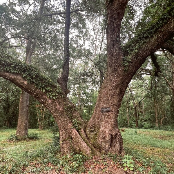 Pet Sematary Hanging Sign - Etsy