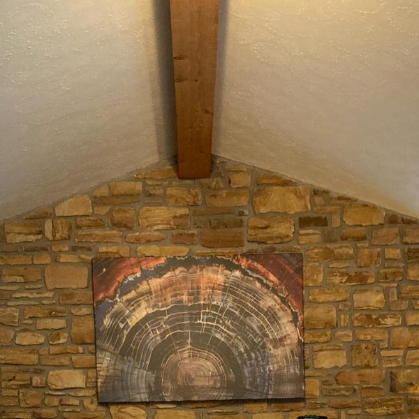 Tree Ring Framed Wall Art, Abstract Colorful Tree Ring Wall Decor ...