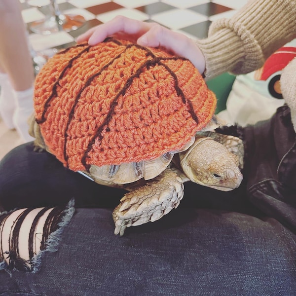 Basketball Crochet Costume for Turtles/ Tortoises - Etsy