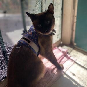 Safetykatz Walking Jacket Red Custom Made Cat Reversible - Etsy