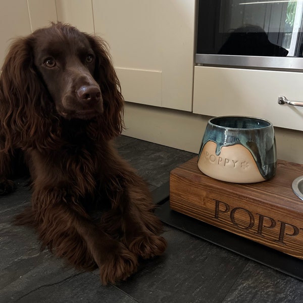 Spaniel Pet Bowl / Personalised Tall Dog Bowl / Handmade Dog Food Water ...