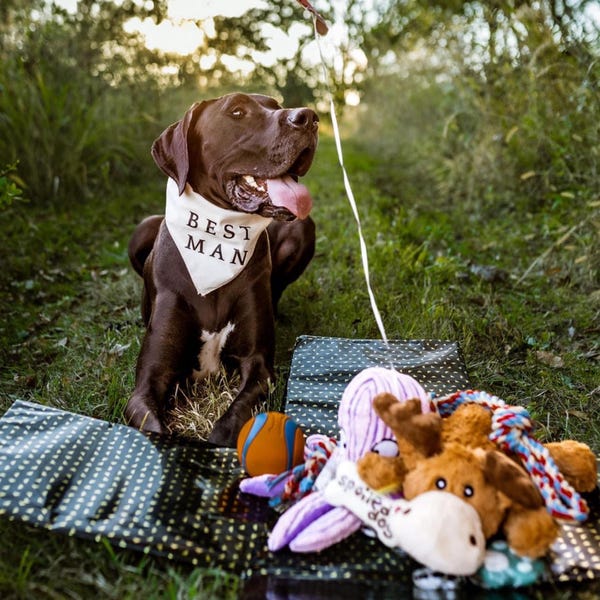 The Big ONE Shirt, Surfer Themed Party, Wave, First Birthday, Bday Boy ...