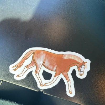 Custom Horse Face Stickers Equestrian Horse Stickers and Decals Art - Etsy
