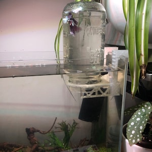Inverted Betta Tank Holder, Panoramic View for Betta Fish, 360 View for ...