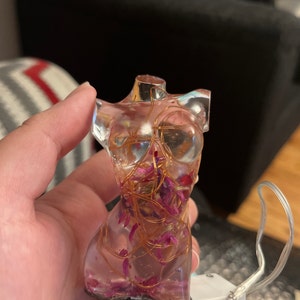 Silver Hero Platinum US Seller Rare Scindapsus Pictus Pothos Plant ...