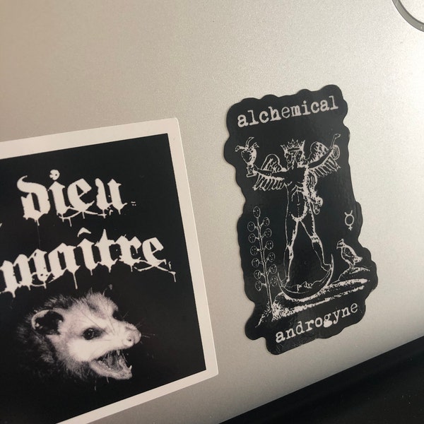 Alchemical Androgyne Sticker - Androgyny Alchemy Nonbinary Trans ...