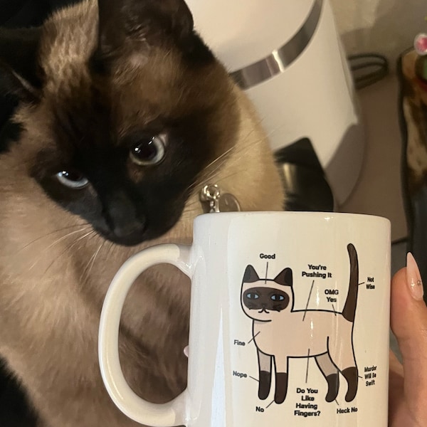 Custom Siamese Cat Diagram Mug | Personalized Siamese Cat Mug | Funny ...