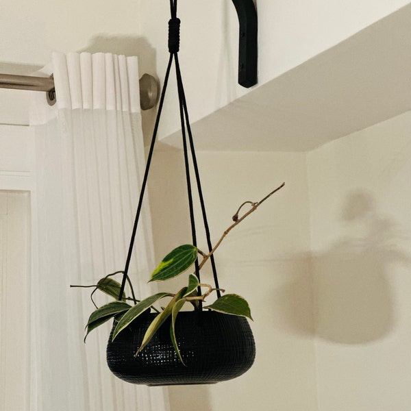 Indoor Plant Hook, Wall Mounted Wooden Plant Hanger STEM Plant Bracket ...