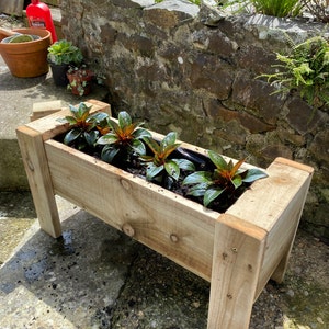 Bug Hotel Sign Personalised Garden Sign for Kids Ladybird - Etsy