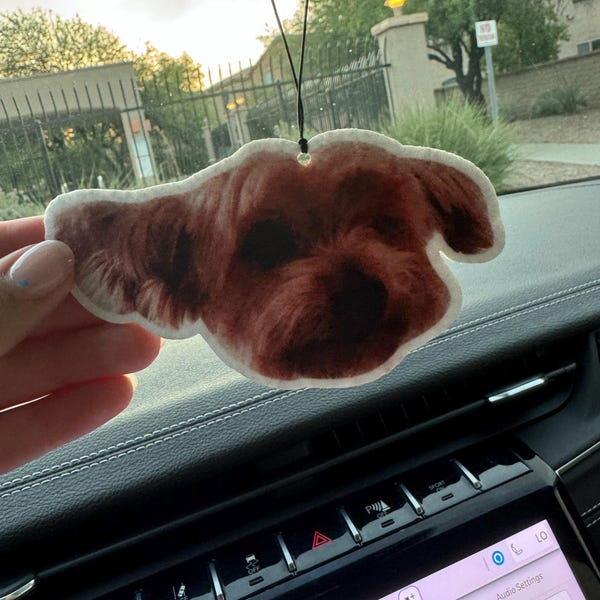 Funny Air Freshener Flaming Eye Freshener Cute Air Freshener Cool Air ...