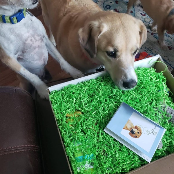 Double Pup Parcel - Doggy Gift Box - EIGHT Toys/treats! - Etsy
