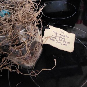 Baphomet Incense Holder With Bewitching Incense Sticks and Varied Cones ...