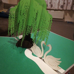 Robin Pop up Card 3D Robin Card Bird Watching Pop up Card | Etsy