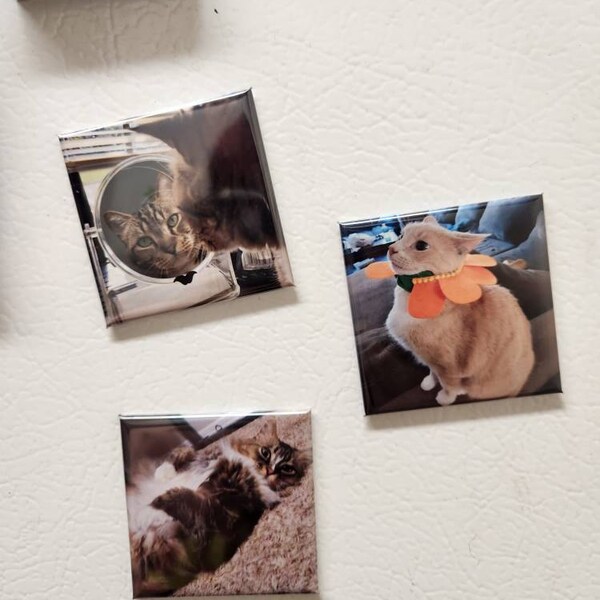 Donkey Mug Donkey Coffee Mug Cute Donkey Gifts Donkey Lover Gifts ...