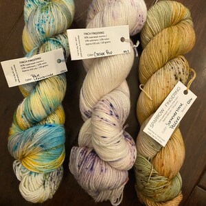 Wren Field of Flowers, Hand Dyed Yarn, Worsted Weight, Superwash Merino ...