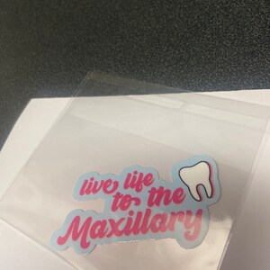 Random Dental Sticker Pack 5 Stickers - Etsy