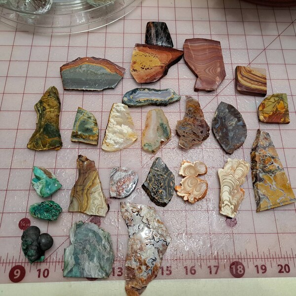 Petosky Stone Petosky Stone Specimen Fossil Coral Lake Michigan Petoski ...