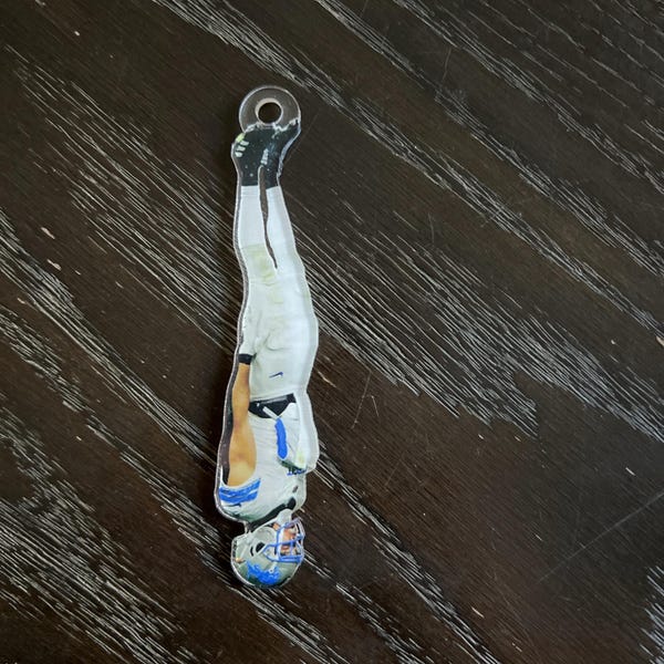 Tim Robinson Zipline Ornament, I Think You Should Leave, ITYSL, Acrylic ...