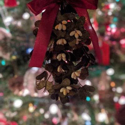 Mistletoe, Hanging Mistletoe, Artificial Mistletoe, Christmas Mistletoe ...